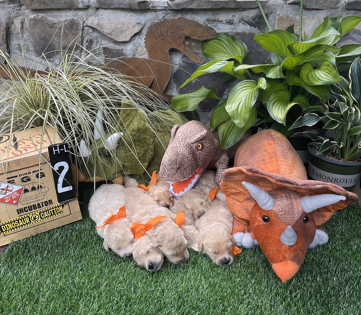 Details and Weekly Photos – Jurassic II: “The Lost World” – Red Barn Doodle Farm